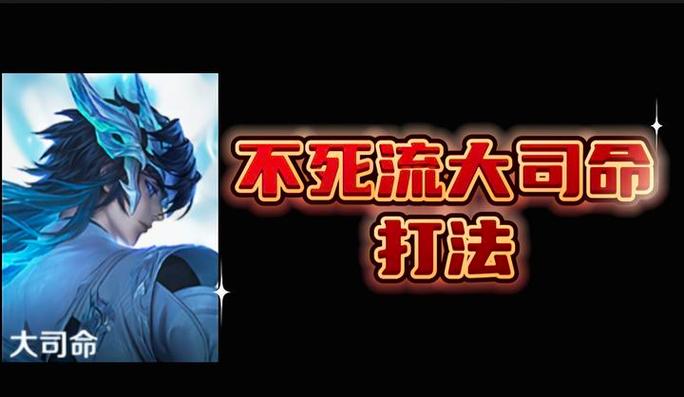 王者荣耀用铁链勾人的英雄截图