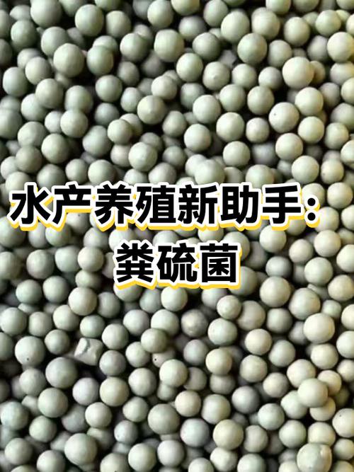农村水产养殖图标