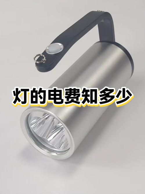 只开灯一个月多少电费缩略图
