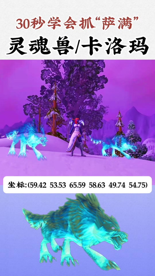 怀旧服猎人有几个兽栏图标