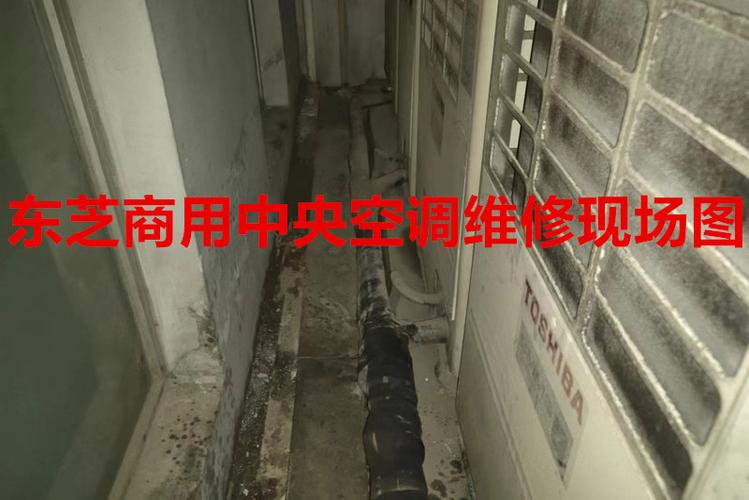 东芝2309清理截图