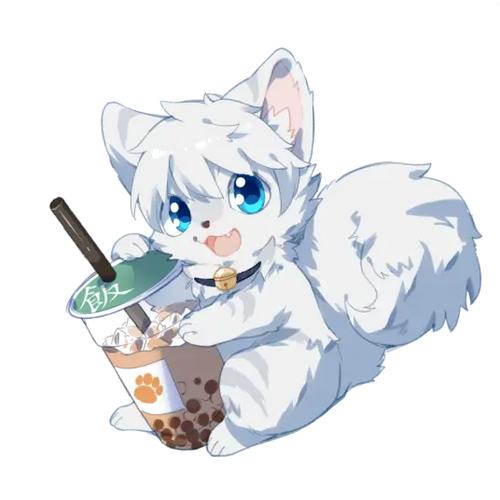 魅影小狐