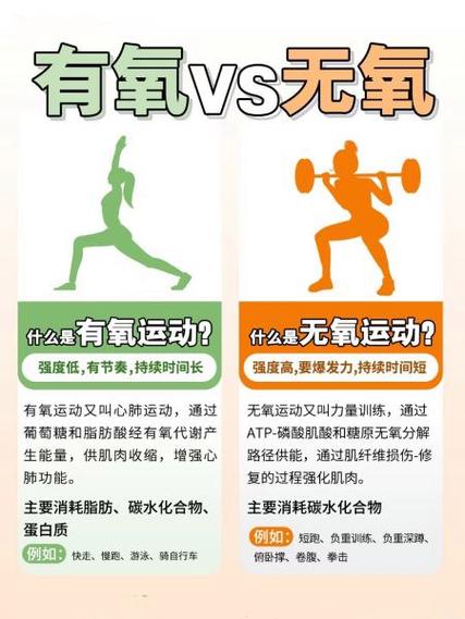 有氧耐力和无氧耐力哪个好图标