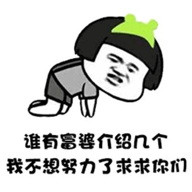 老婆我不想努力了游戏图标