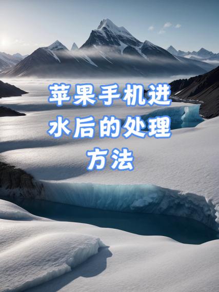 苹果手机不小心进水了怎么处理