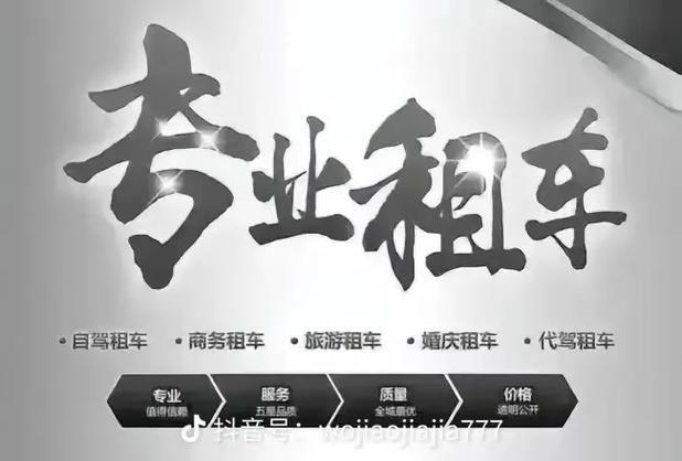 哪个软件租车便宜又正规图标