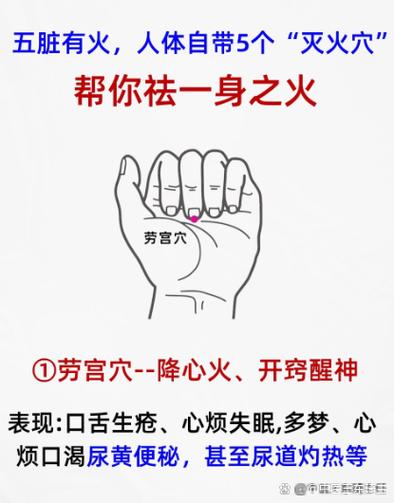 心火旺怎么调理截图