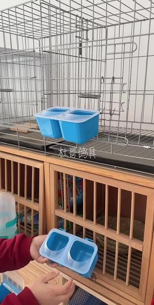 鸽盒子叫什么图标