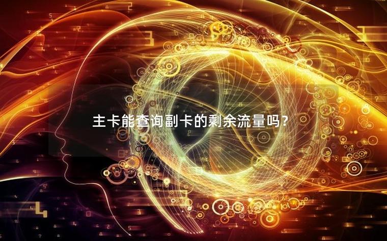 主卡能查副卡的流量图标