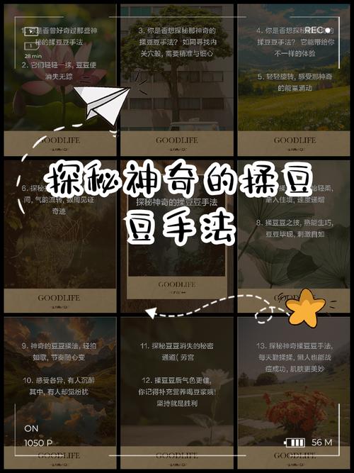 拼豆豆玩法图标