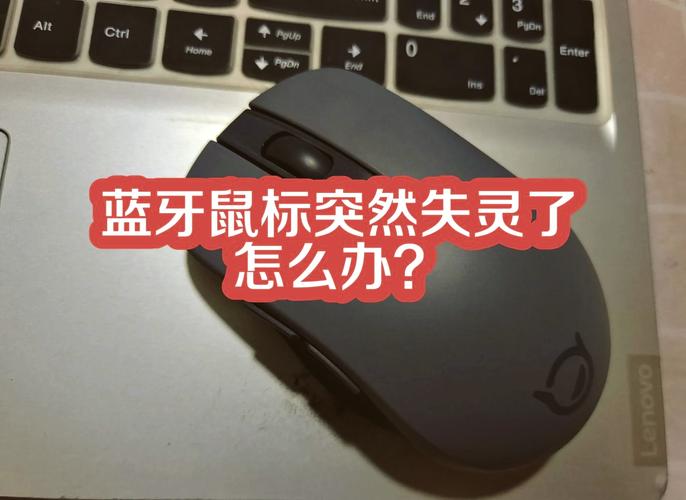 鼠标指示灯不亮怎么回事截图