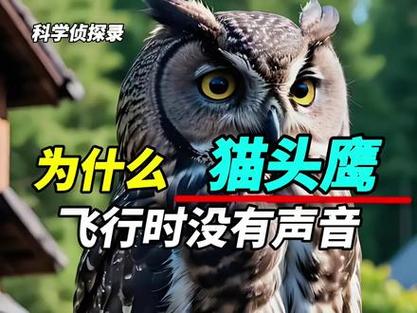 科学猫头鹰图标