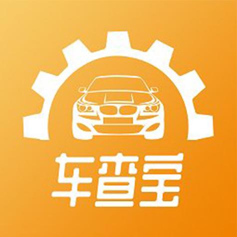 二手车查询车辆信息游戏截图