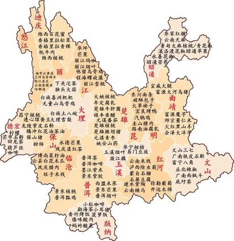 云南省有几个市截图