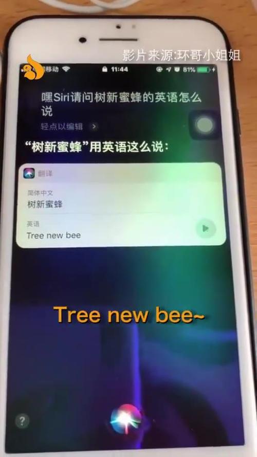 手机屏幕显示英文单词图标