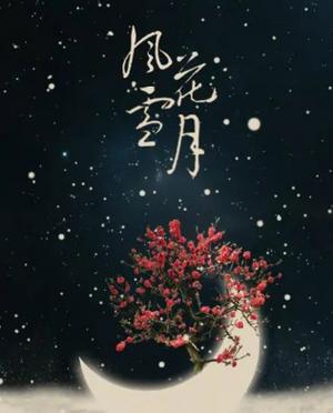 《风花雪月》原唱图标