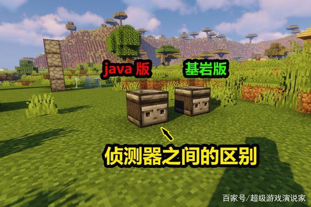 检测器我的世界图标