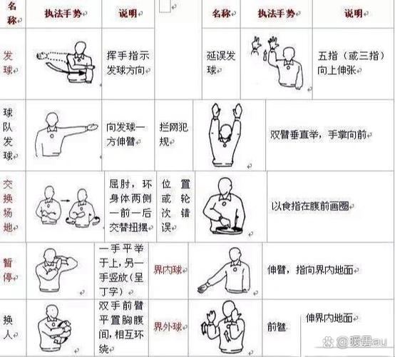 气排球裁判证怎么考图标
