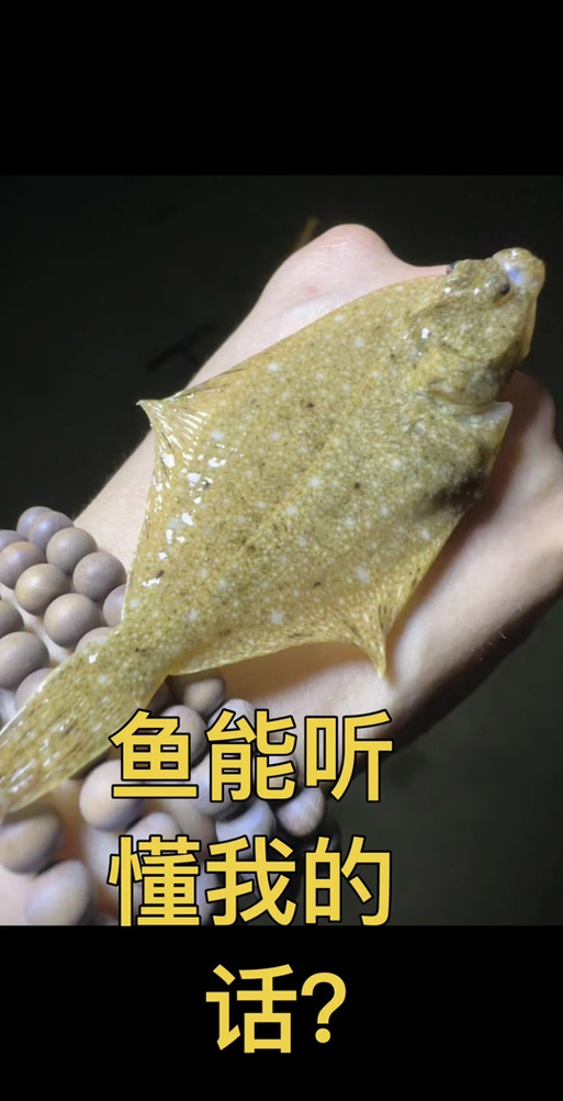 章鱼能听懂人话吗图标