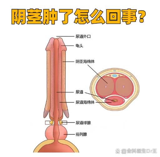 鸡把皮肿了什么原因图标