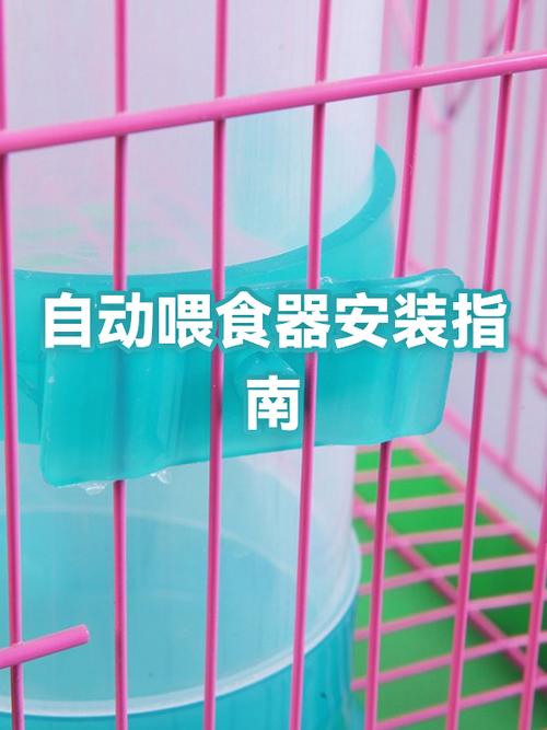 自动喂食器使用方法图标