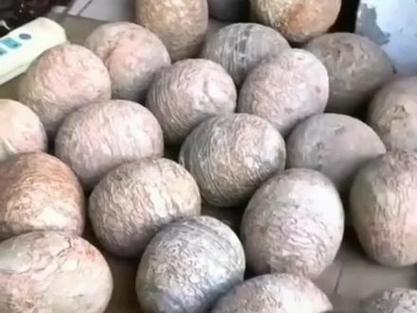 树皮石蛋有收藏价值吗截图