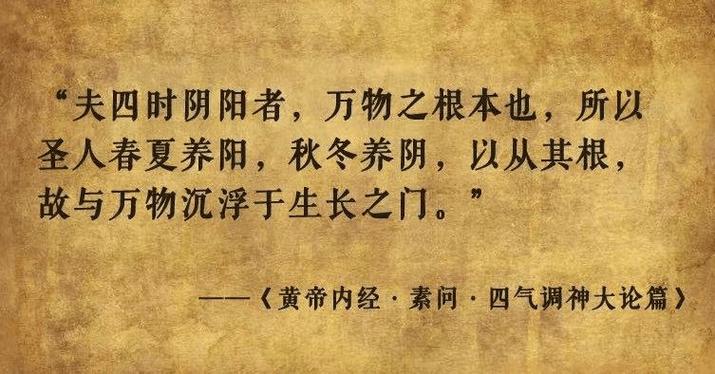 黄帝内经腠理是什么意思