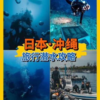 我的世界海龟驯服步骤图标