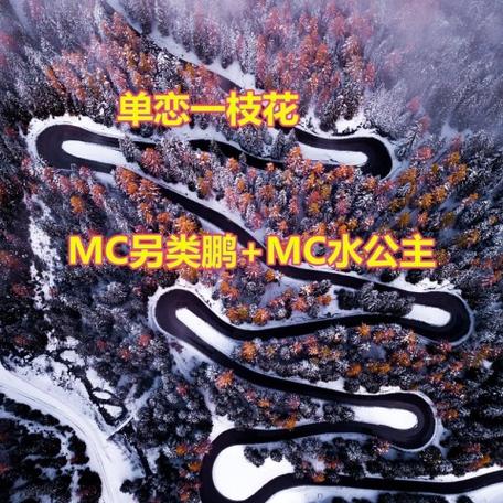mc水公主喊喊麦现场图标