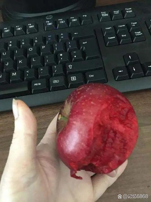 苹果伪装软件图标