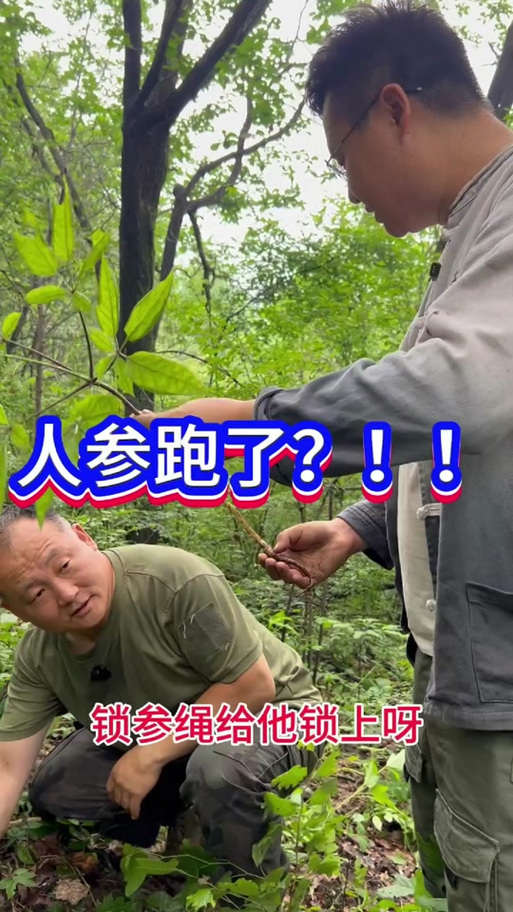 野生的人参会跑吗截图