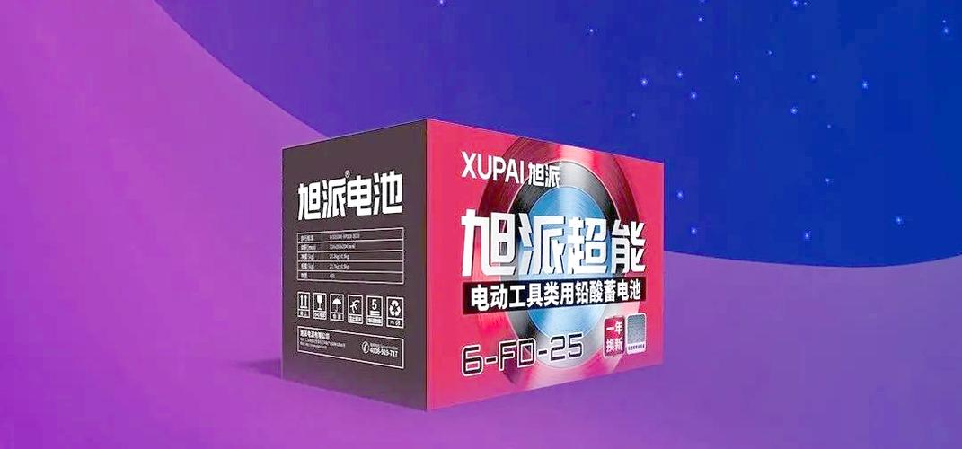 旭派电动车电池