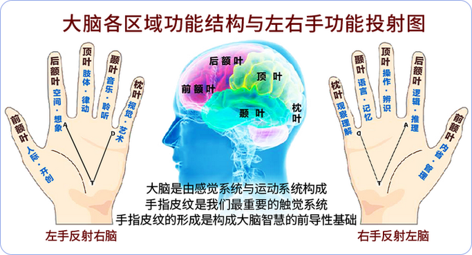 指纹测试天赋国家允许吗图标