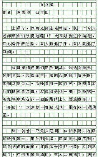 有趣的躲猫猫作文300截图