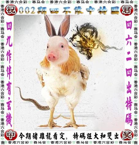 今晚准确生肖图标