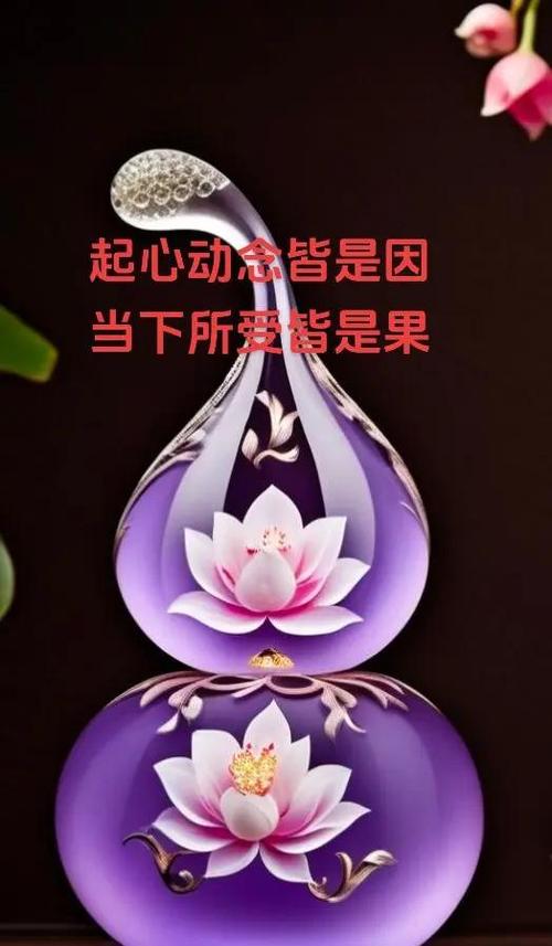 查前世因果免费网
