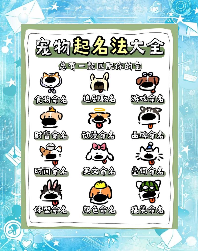 什么斯狗名字叫什么