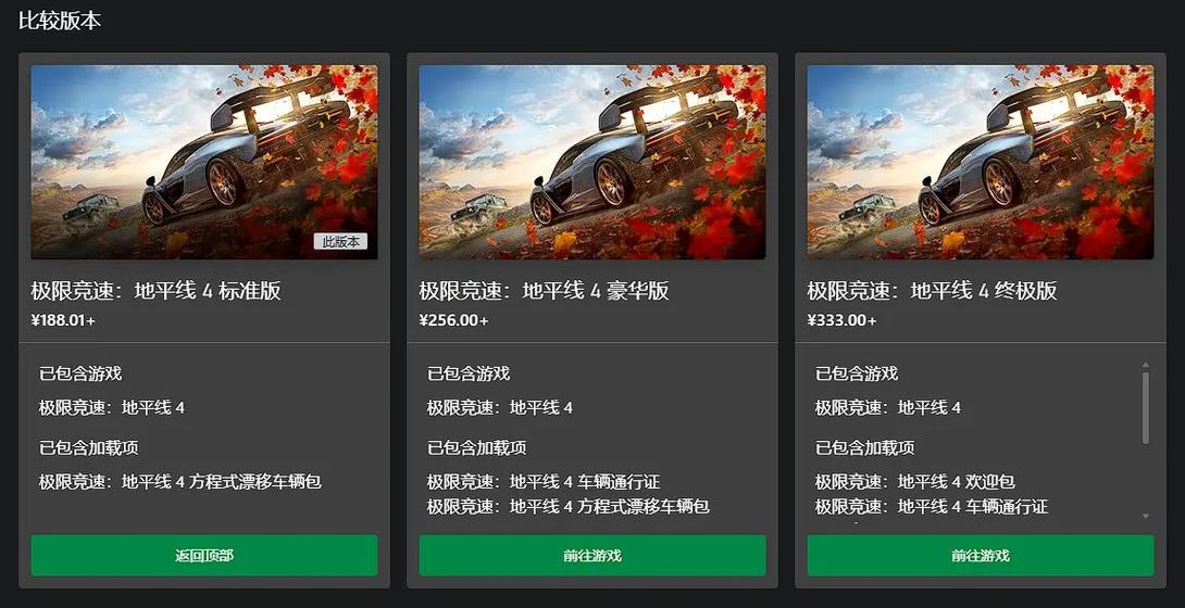 地平线4存档找不到图标