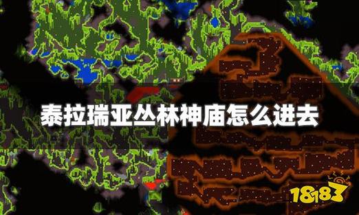 丛林神庙进入方法截图
