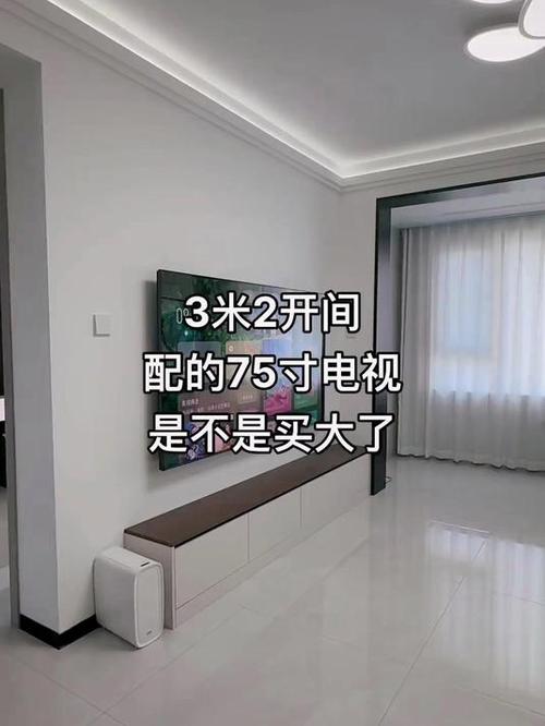 3.2米客厅75寸后悔了图标