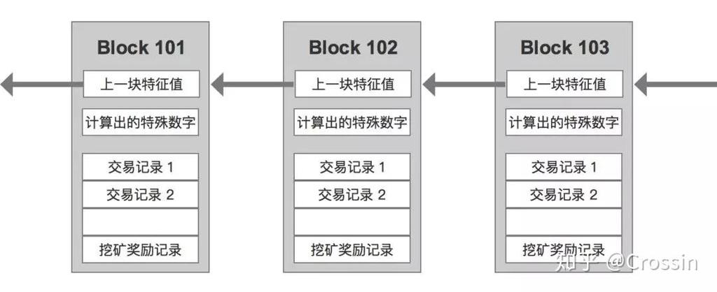 区块链编程知识讲解图标