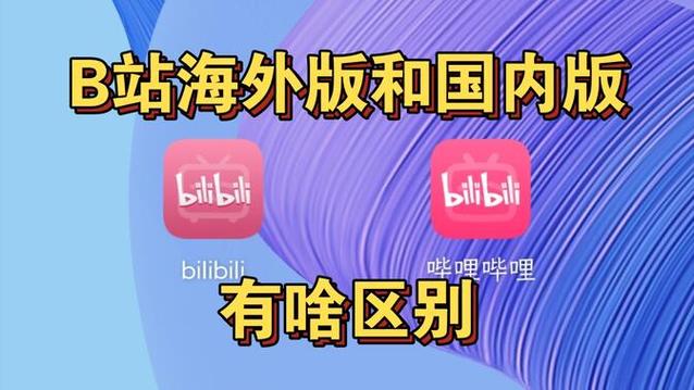 b站国际版和国内版区别图标