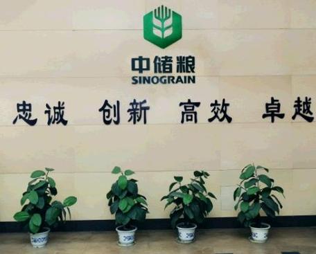 中储粮网交易平台截图