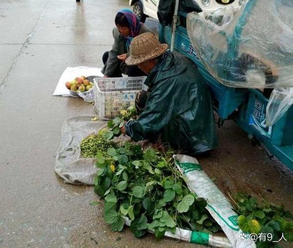农爷爷图标