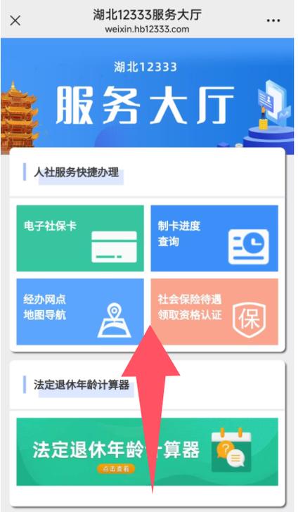 12333查退休金明细图标