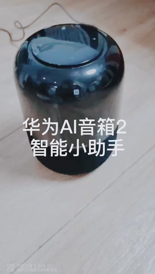 华为音箱喊了没反应