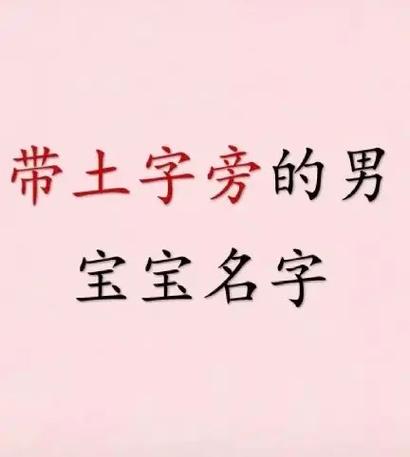 带土最旺男孩名字图标