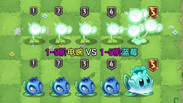 电击蓝莓能量豆大招是什么图标