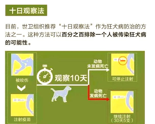 10日观察法原理截图