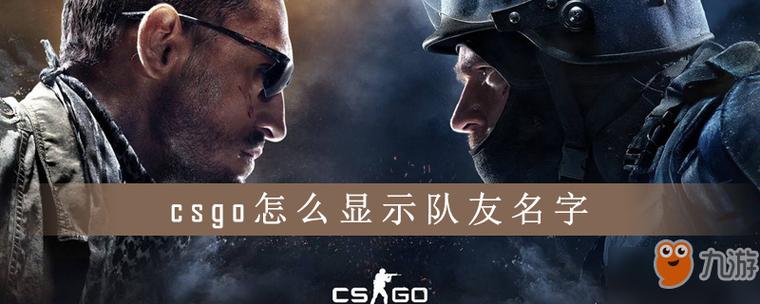 csgo名字变成队友图标